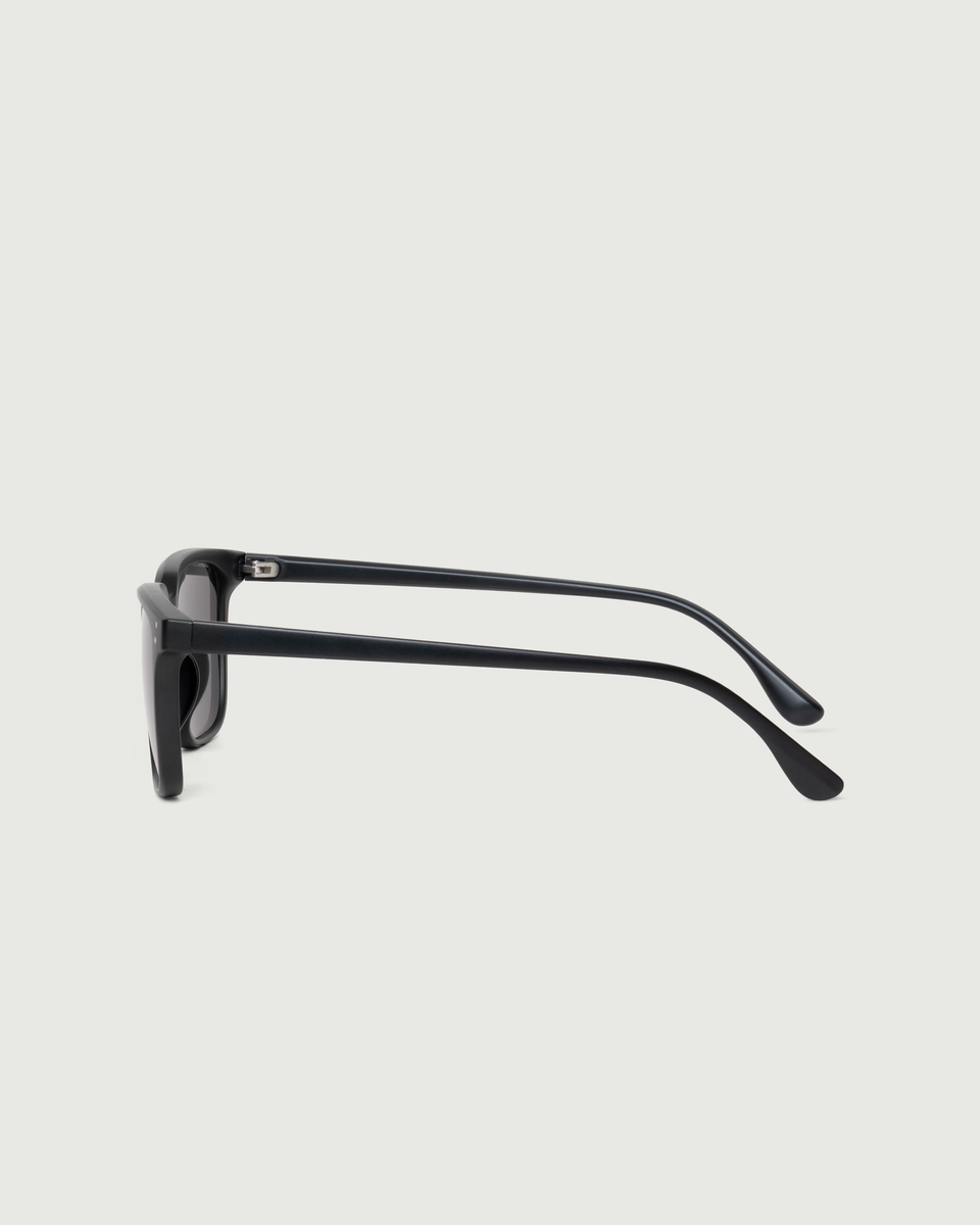Harry – Sunnies Studios INT